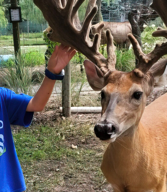 unique animal sanctuary michigan ftr