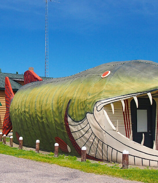 wacky restaurant minnesota ftr