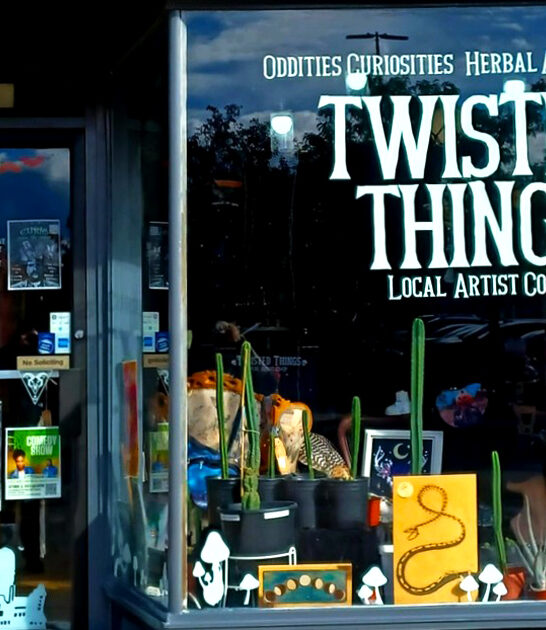 weird gift shop michigan ftr