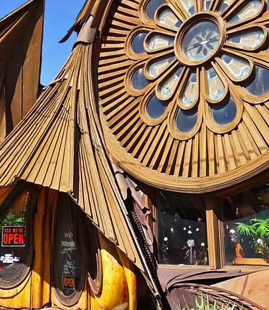 whimsical caribbean restaurant michigan ftr