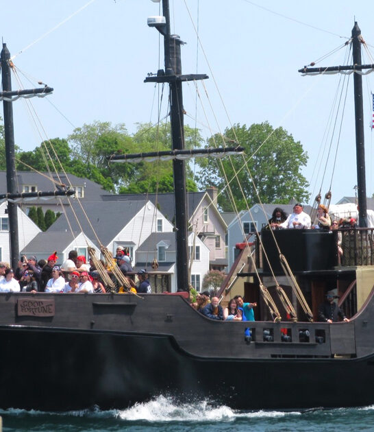 whimsical pirate ship michigan ftr