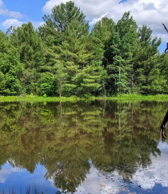 whimsical sculpture park wisconsin ftr