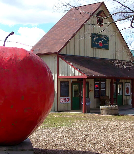 winery homemade donuts michigan ftr