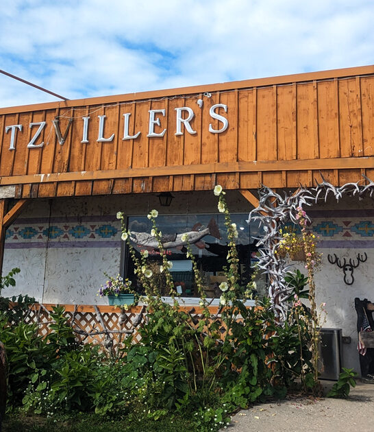 wonderfully odd museum michigan ftr