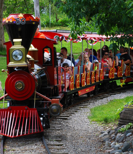 zoo train ride michigan ftr