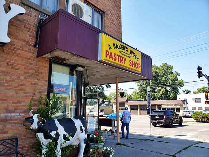 The iconic yellow sign beckons sugar-seekers like a lighthouse for the sweet-toothed, complete with guardian cow statue.