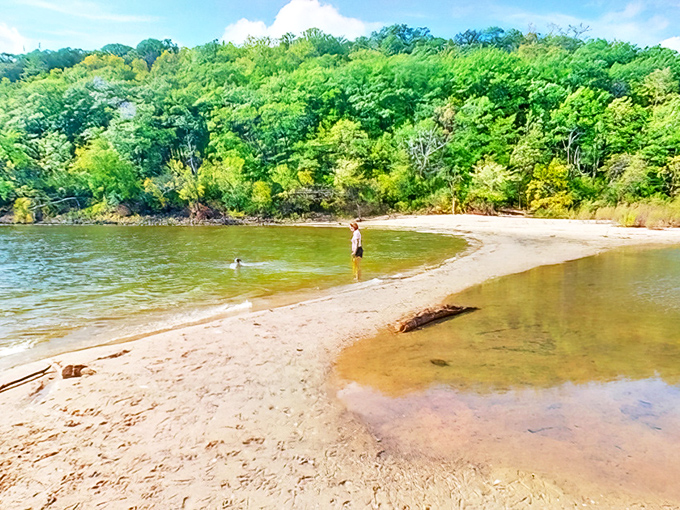 Welcome to Afton State Park, where Minnesota's natural beauty takes center stage against a backdrop of blue skies and rolling landscapes.