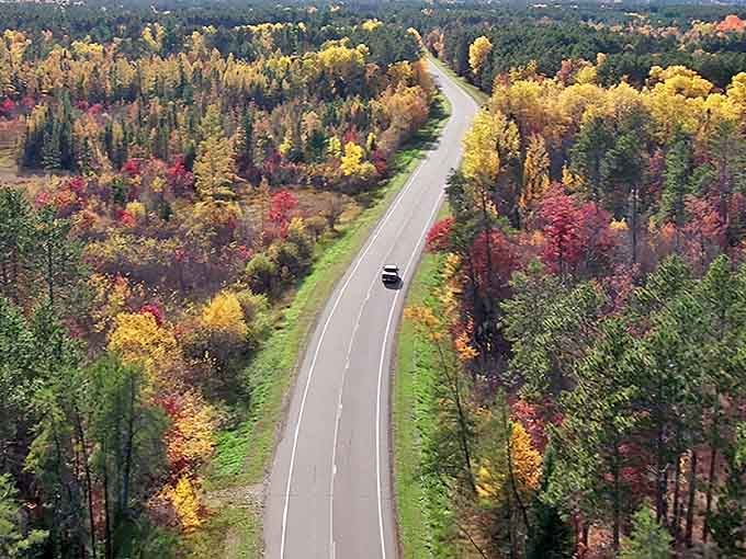 The Avenue of Pines Scenic Byway creates a mesmerizing tunnel of autumn colors that practically demands you slow down and savor the moment.