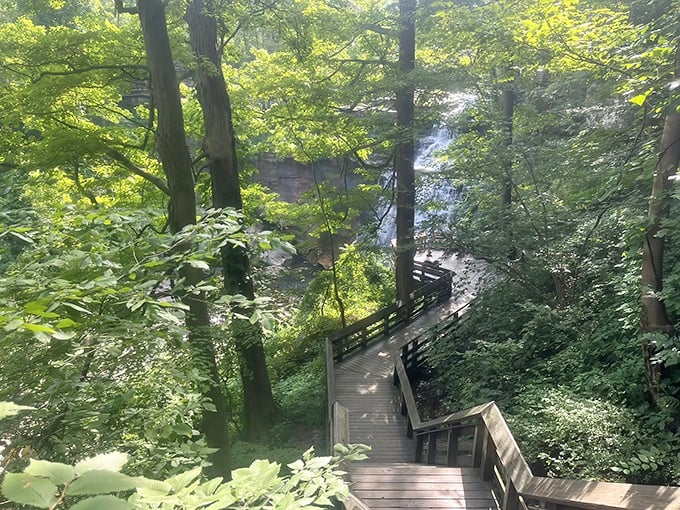 A wooden boardwalk curves through the lush forest, guiding you toward the rushing beauty of Brandywine Falls.