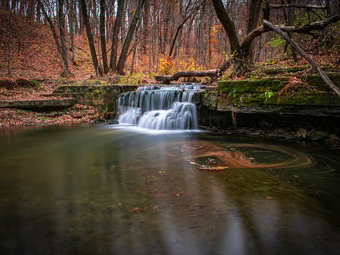 Caron Park: Where Minnesota's woodland magic unfolds with every step, inviting visitors to discover its hidden treasures.