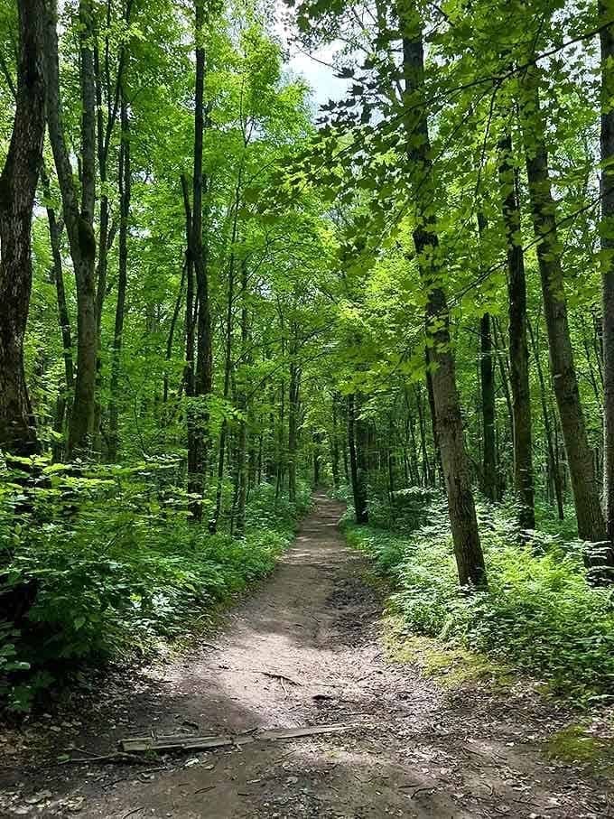 The Chapel Gorge Trail entrance promises adventure without requiring a mountain climbing certification or emergency flares.