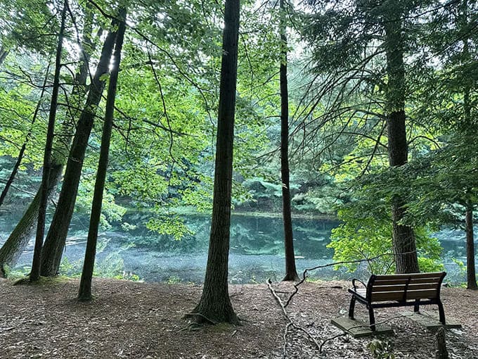 Clear Springs Nature Preserve welcomes visitors with the kind of natural beauty that makes you forget your phone exists for a while.