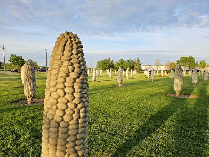 Towering concrete corn sculptures stand like sentinels against the Ohio sky, creating an agricultural Stonehenge that stops traffic and starts conversations.