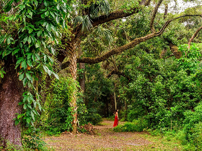 Where urban jungle meets actual jungle &ndash; the entrance to Enchanted Forest Elaine Gordon Park beckons with promises of leafy adventures ahead.