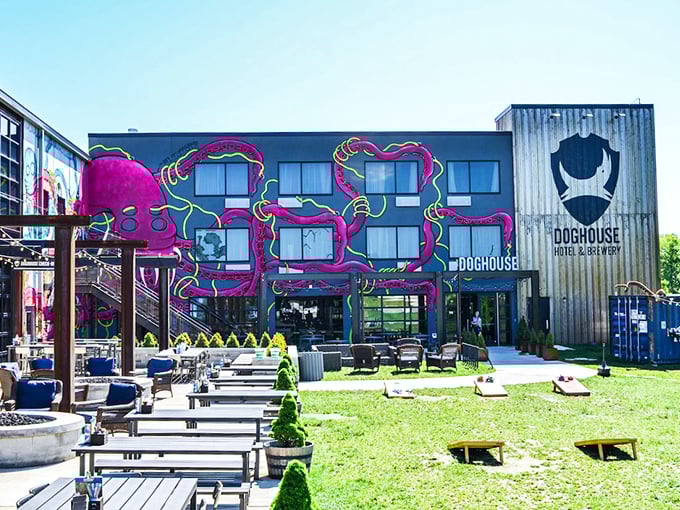 The pink tentacled sea monster mural wrapping around BrewDog DogHouse makes conventional hotels seem as exciting as watching paint dry.