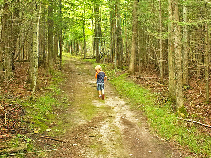 Fayette Historic State Park's wooded trails invite explorers to wander through history, where nature and heritage intertwine perfectly.