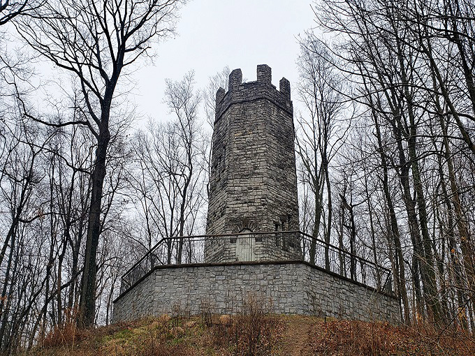 Stone sentinel standing tall among barren winter trees, Frankenstein Castle challenges visitors to uncover its secrets.