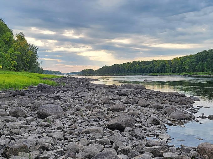 Sunset paints the Rainy River in golden hues at Franz Jevne State Park, where Minnesota meets Canada in a spectacular borderland embrace.