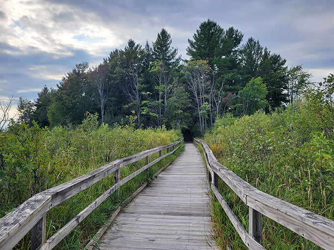 This boardwalk stretches toward a tree-covered island like nature's own red carpet, minus the paparazzi and uncomfortable shoes.
