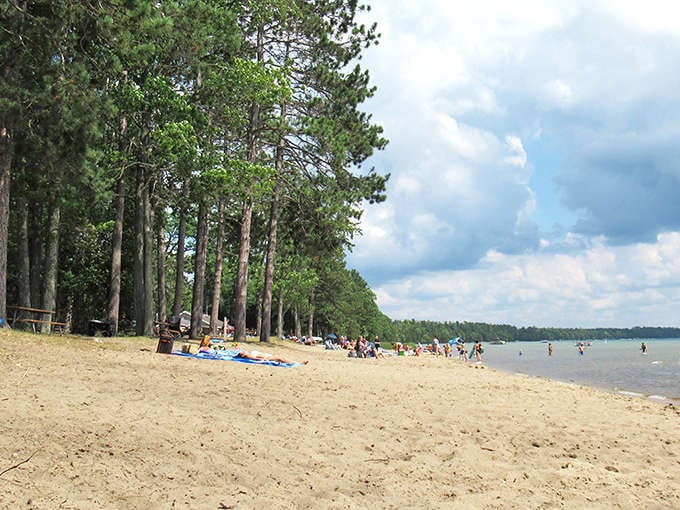 Sandy shores meet towering pines at Higgins Lake Beach, where Michigan's version of paradise unfolds without a grain of salt in sight.