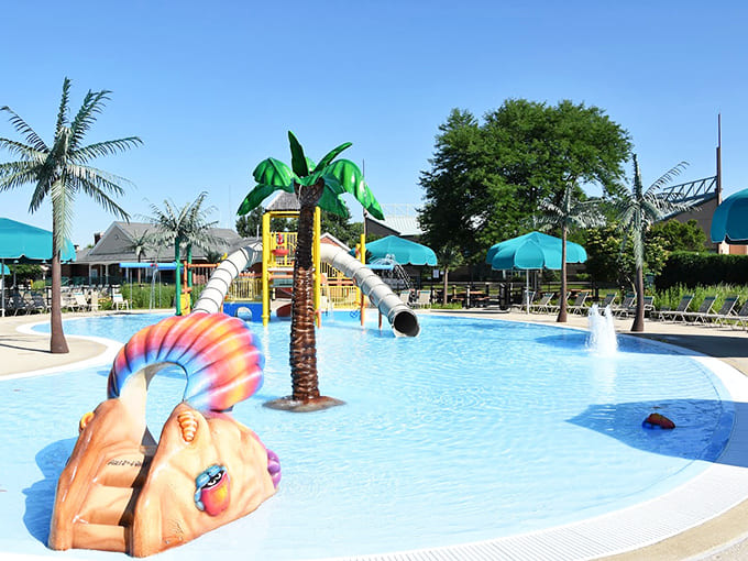 A splash of paradise in Illinois: colorful water features and palm trees create a tropical escape at Itasca Water Park.
