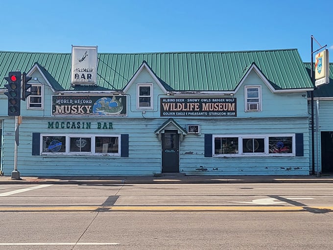 The unassuming blue exterior of Moccasin Bar hides one of Wisconsin's most delightfully bizarre attractions behind its weathered facade.