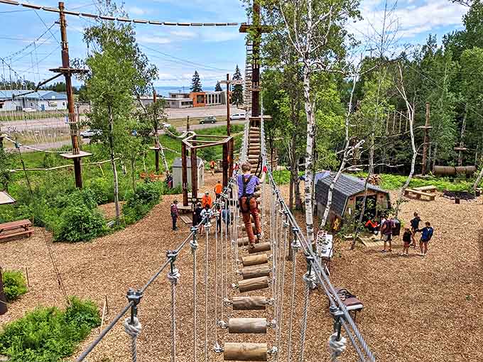 Welcome to North Shore Adventure Park, where treetop adventures and breathtaking views create the perfect Minnesota escape.