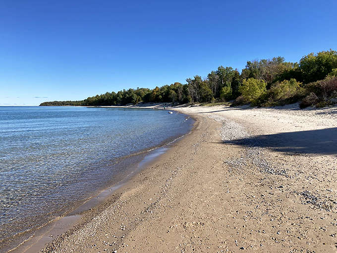 Norwood Township Park: Where Lake Michigan shows off its best angles and the crowds forgot to show up. Pure Michigan magic.