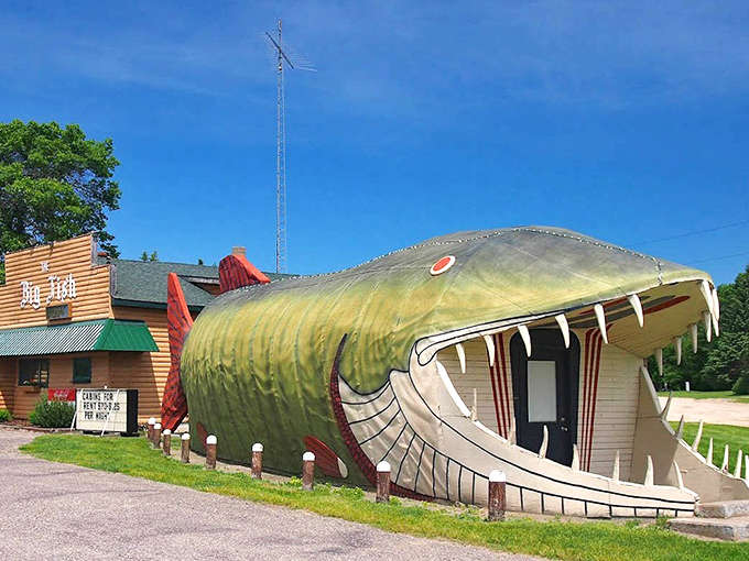 The jaw-dropping exterior of The Big Fish Supper Club invites diners to literally enter through a muskie's mouth. Minnesota roadside architecture at its finest!