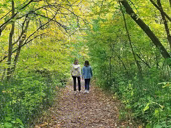 Two wanderers find solace on a leaf-strewn path, where nature's emerald cathedral offers the perfect escape from modern chaos.