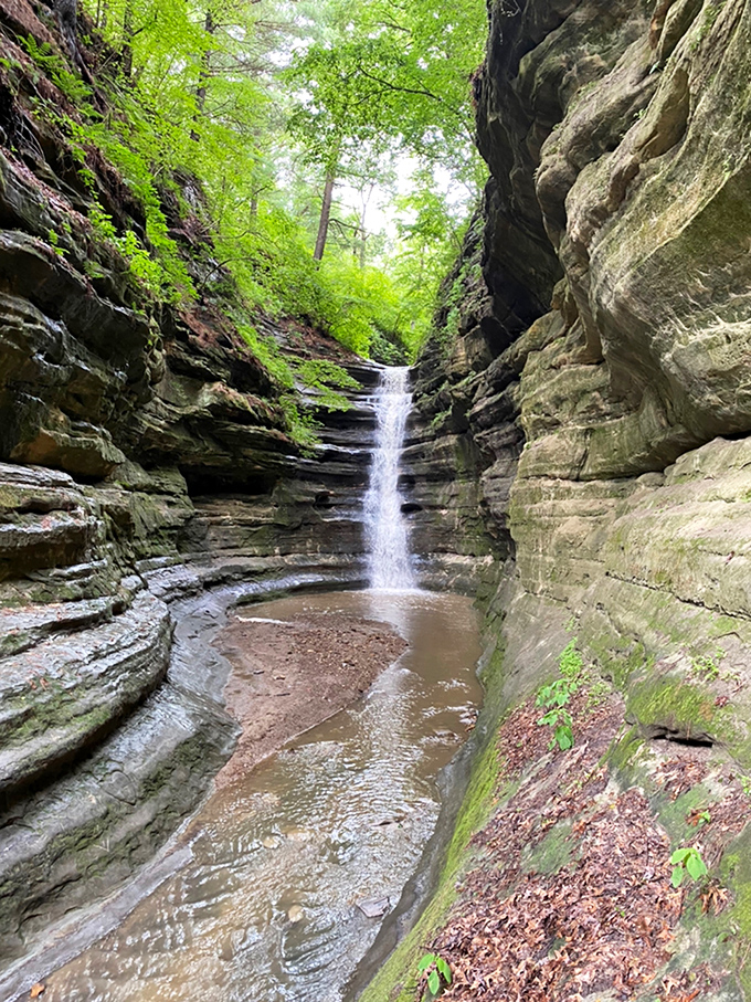 Nature's perfect sculpture garden: Starved Rock's waterfall cuts through ancient sandstone, creating a scene that belongs on the cover of travel magazines.