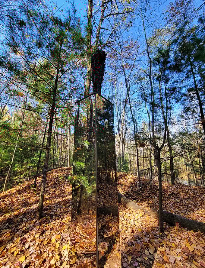 A mirrored tower plays hide-and-seek with reality, reflecting fragments of forest and sky in a mind-bending optical illusion.