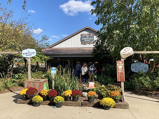 The Homestead Bakery welcomes visitors with colorful mums and rustic charm that promises homemade goodness inside.