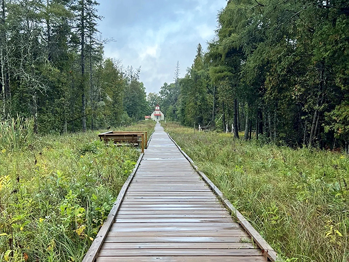 A wooden boardwalk stretches into the distance, flanked by lush greenery &ndash; nature's red carpet inviting you deeper into The Ridges' embrace.