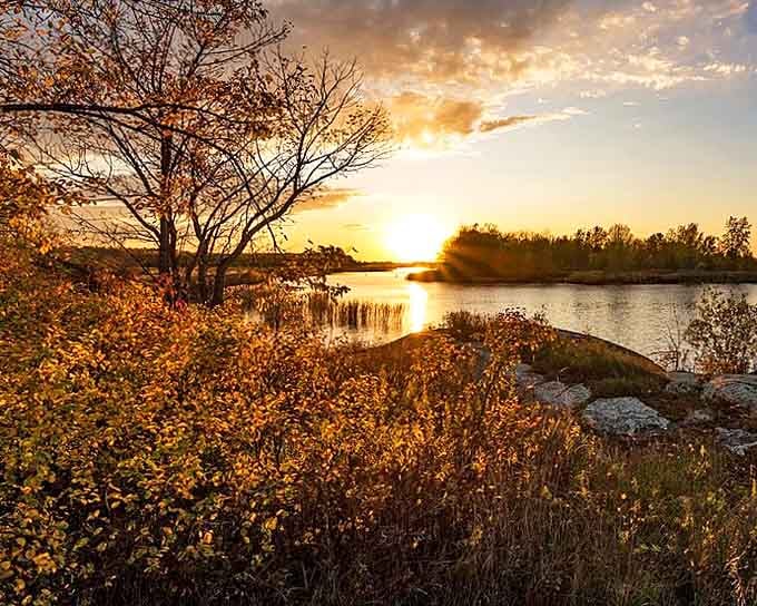 Golden hour transforms Zippel Bay into a painter's dream, with sunlight dancing across the water like nature's own light show.