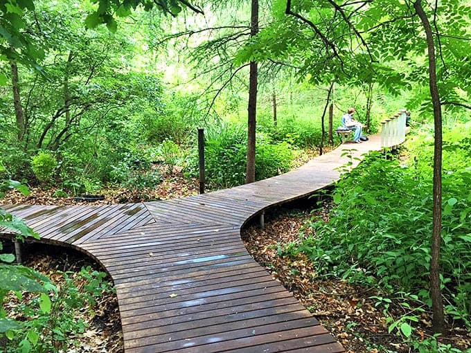 A winding wooden boardwalk snakes through lush greenery, inviting wanderers to discover what lies beyond each gentle curve.