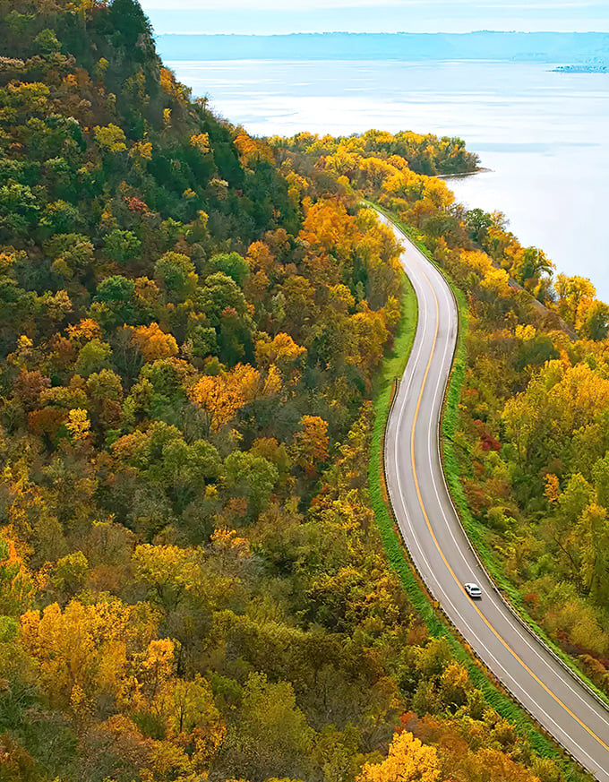 Golden autumn foliage creates nature's perfect frame for the Great River Road, winding gracefully alongside the mighty Mississippi.