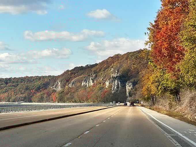 Autumn paints the Great River Road with fiery colors, transforming limestone bluffs into nature's canvas as you cruise this scenic byway.