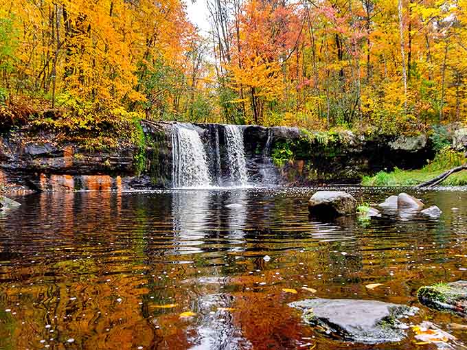 Nature's perfect frame: autumn foliage creates a fiery backdrop for Wolf Creek Falls, where water meets wilderness in spectacular harmony.