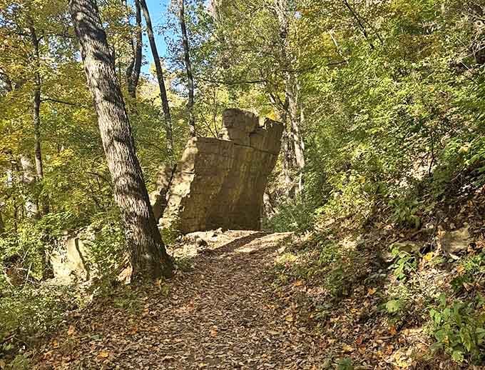 The trail entrance beckons like nature's own welcome mat, promising adventure without requiring a sherpa or survival training.