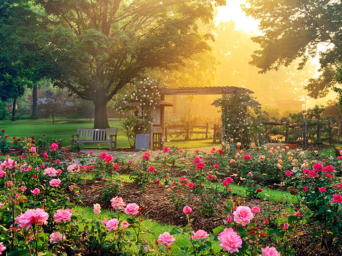 The entrance to Columbus Park of Roses welcomes you like an old friend inviting you into their spectacular backyard garden.