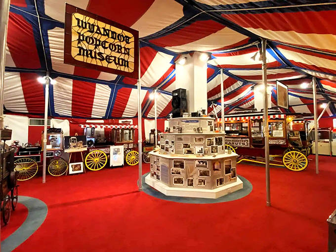 Step into a carnival of popcorn history! The Wyandot Museum's circus-tent ceiling and vintage displays create an atmosphere that's both nostalgic and magical.