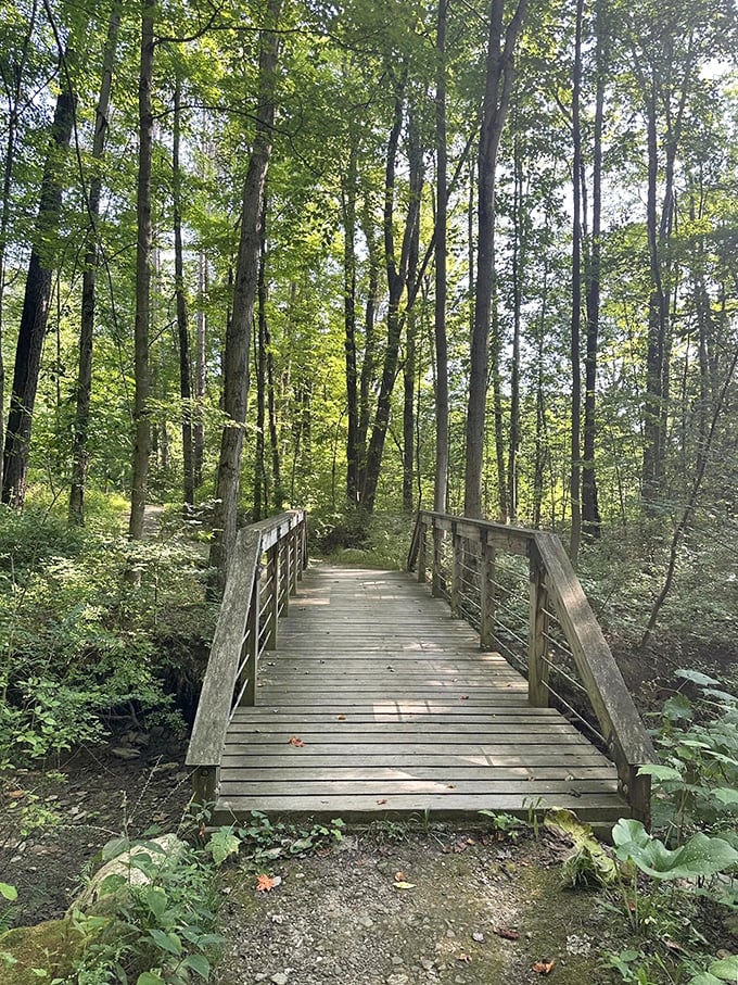 A wooden footbridge invites adventurers into the enchanted forest of North Chagrin Reservation, where fairy tales begin with each creaking step.
