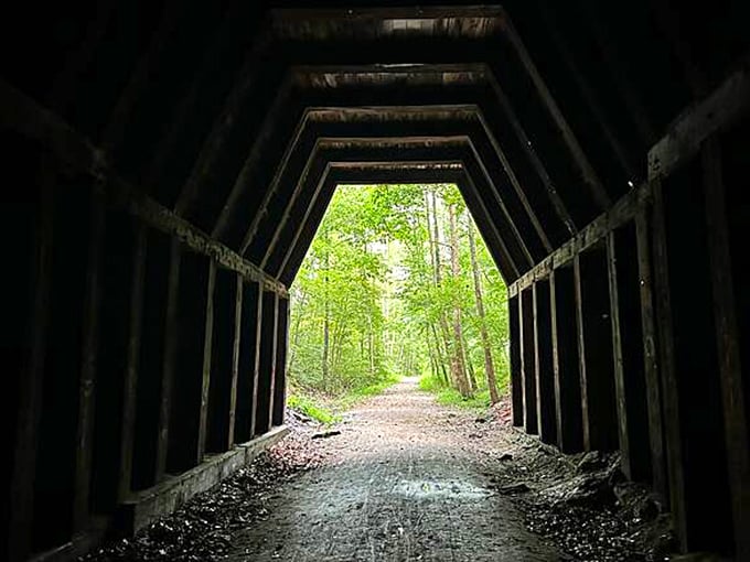 The Tunnel: A wooden time portal beckons from the forest, its geometric frame creating a perfect perspective tunnel into Ohio's railroad past.