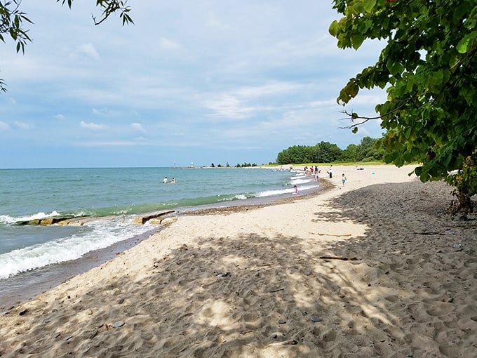 Breakwater Beach stretches along Lake Erie's shoreline like a golden ribbon, inviting visitors to forget they're in Ohio and not some exotic coastline.