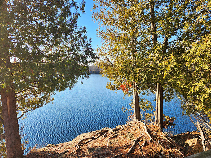 Lakeside views framed by autumn foliage create postcard-perfect scenes that make you reach for your camera every single time.