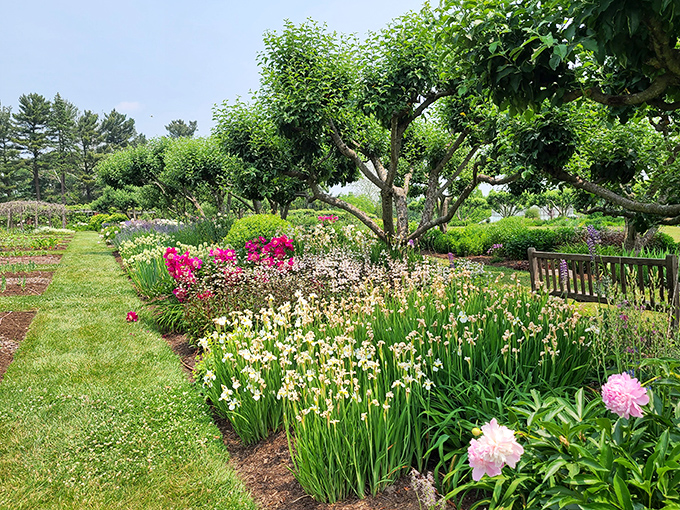 Vibrant garden beds and sculpted trees showcase a picture-perfect blend of color and texture.