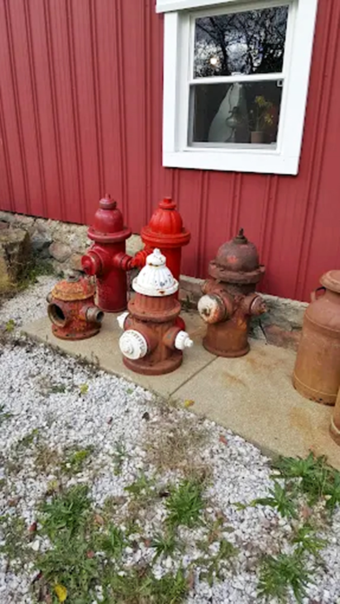 These weathered fire hydrants stand like colorful sentinels outside the barn &ndash; functional objects transformed into sculptural conversation pieces.