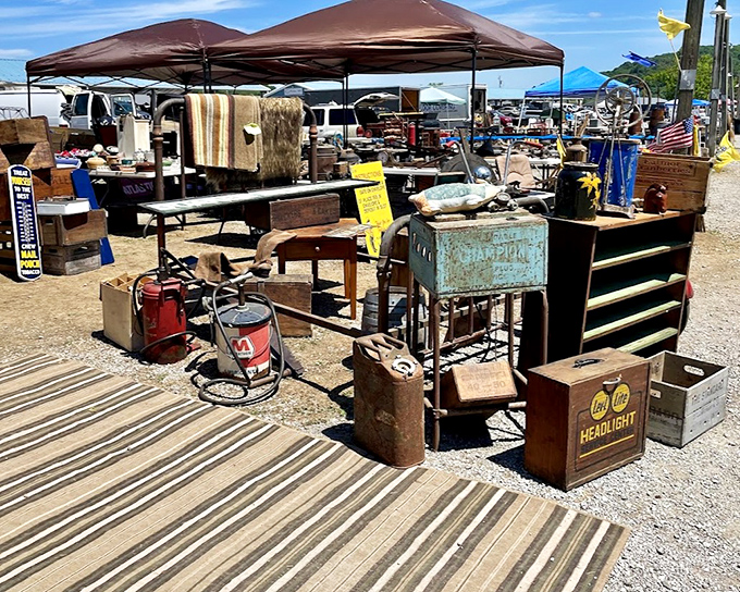 Rusty treasures with unlimited potential – these weathered metal finds will transform into garden art or industrial-chic decor in creative hands.