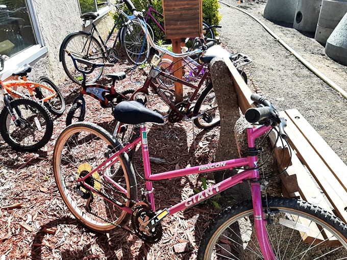 Bicycles waiting for their next adventure &ndash; that pink Giant might have more stories than your car.